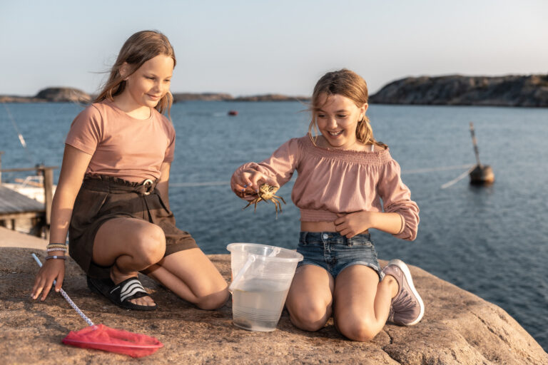 Saltviks Camping - Saltviks Camping